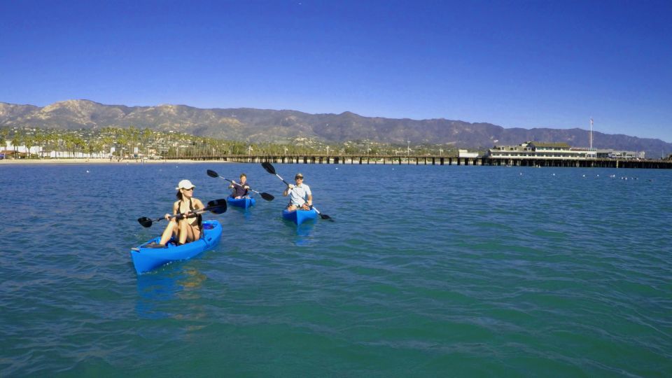 Santa Barbara: 1.5-Hour Harbor Kayak Tour - Exploring the Santa Barbara Harbor Kayak Tour in Detail