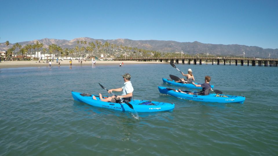 Santa Barbara: 1.5-Hour Harbor Kayak Tour - Who Should Consider This Tour?