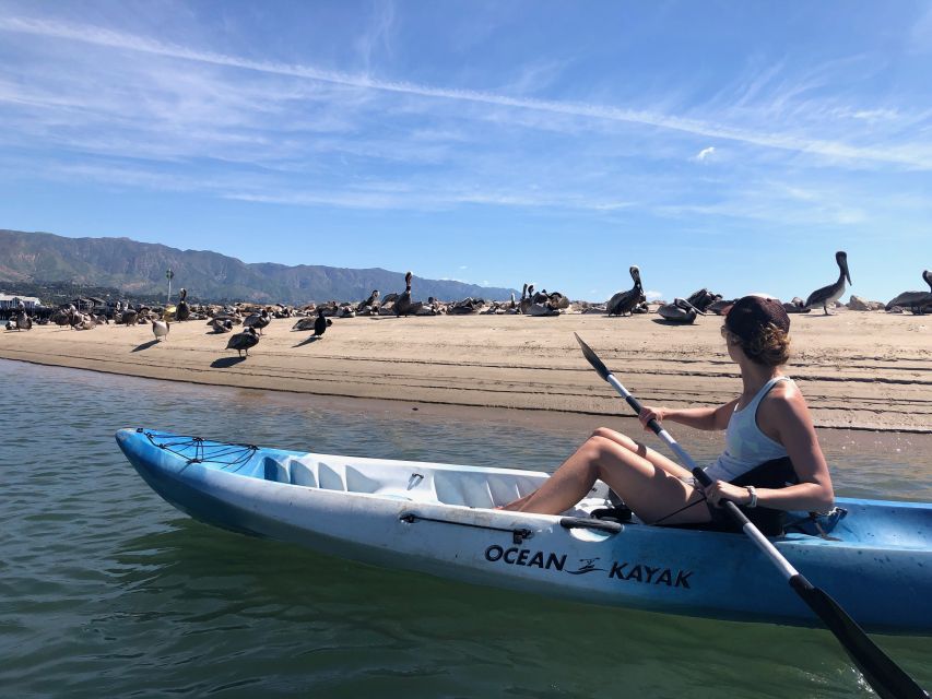 Santa Barbara: 1.5-Hour Harbor Kayak Tour - Final Thoughts