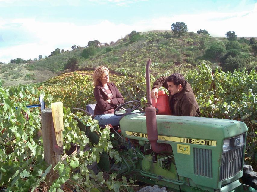 Santa Barbara: 3-Winery Tour Includes Tastings & Lunch inSYV - Who Is This Tour Best For?
