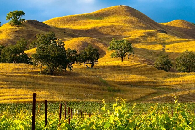 Santa Barbara and Wine Country Cruise Ship Shore Excursion - A Detailed Breakdown of the Itinerary