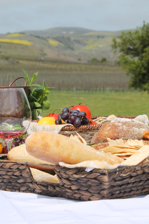 Santa Barbara: E-bike wine tour w/ transport, tasting, lunch - What Makes This Tour Stand Out?