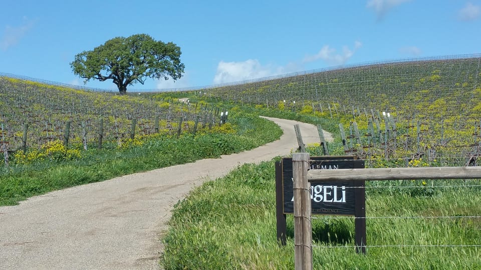 Santa Barbara: E-bike wine tour w/ transport, tasting, lunch - Authentic Experiences as Highlighted by Reviewers