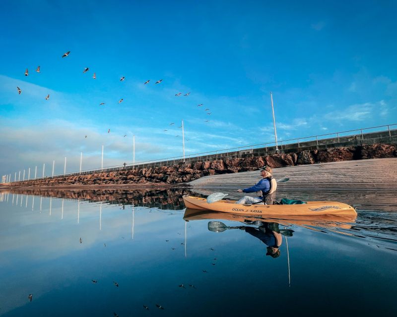 Santa Barbara Harbor: Sunset Kayak Tour (2 Hours) - Authentic Experiences from Past Participants