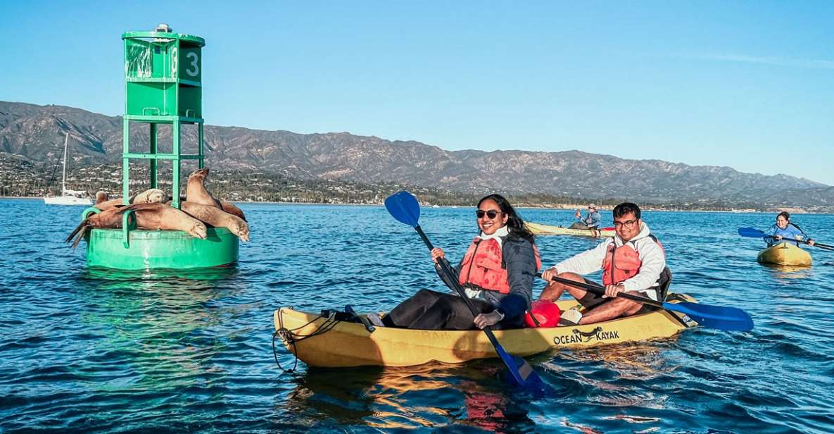 Santa Barbara Harbor: Wildlife Kayak Tour (2 Hours) - Key Points