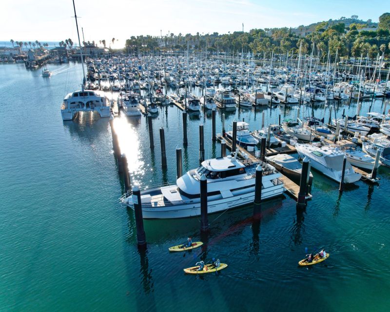 Santa Barbara Harbor: Wildlife Kayak Tour (2 Hours) - Scenic & Educational Kayaking Along Santa Barbara’s Coast