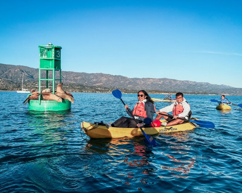 Santa Barbara Harbor: Wildlife Kayak Tour (2 Hours) - Practical Details and What to Expect