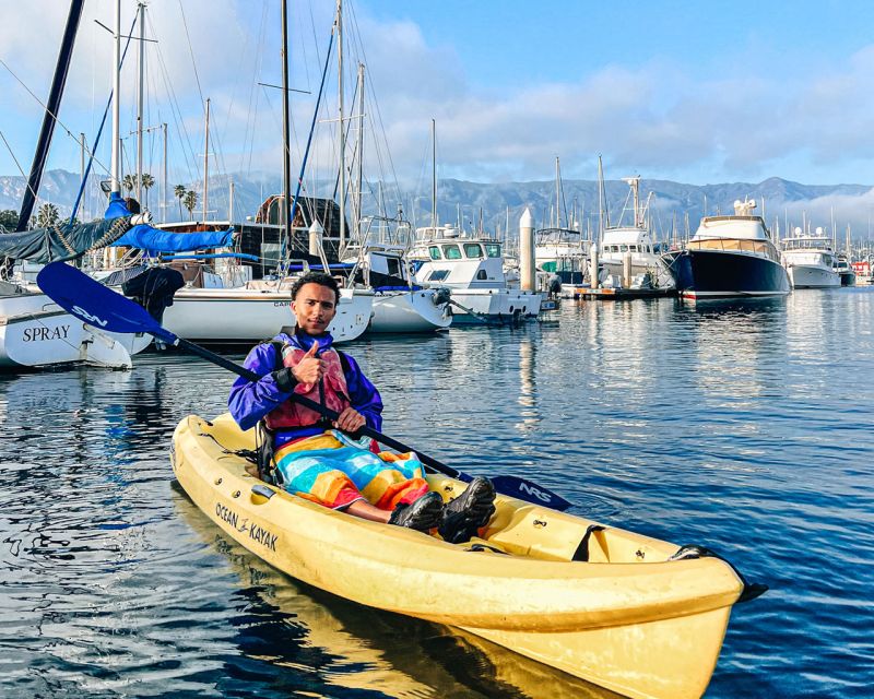 Santa Barbara Harbor: Wildlife Kayak Tour (2 Hours) - Highlights & Potential Drawbacks