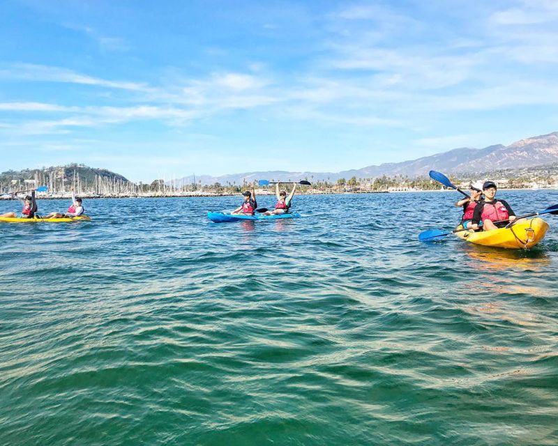 Santa Barbara Harbor: Wildlife Kayak Tour (2 Hours) - Who Will Love This Tour?