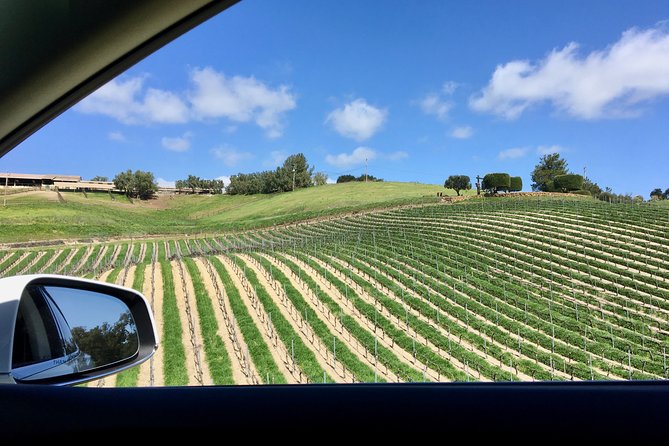 Santa Barbara Small-Group Wine Tour to Private Estates & Wineries - What to Expect from the Santa Barbara Small-Group Wine Tour