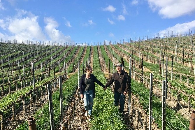 Santa Barbara Small-Group Wine Tour to Private Estates & Wineries - Authentic Experiences and Insights from Reviewers