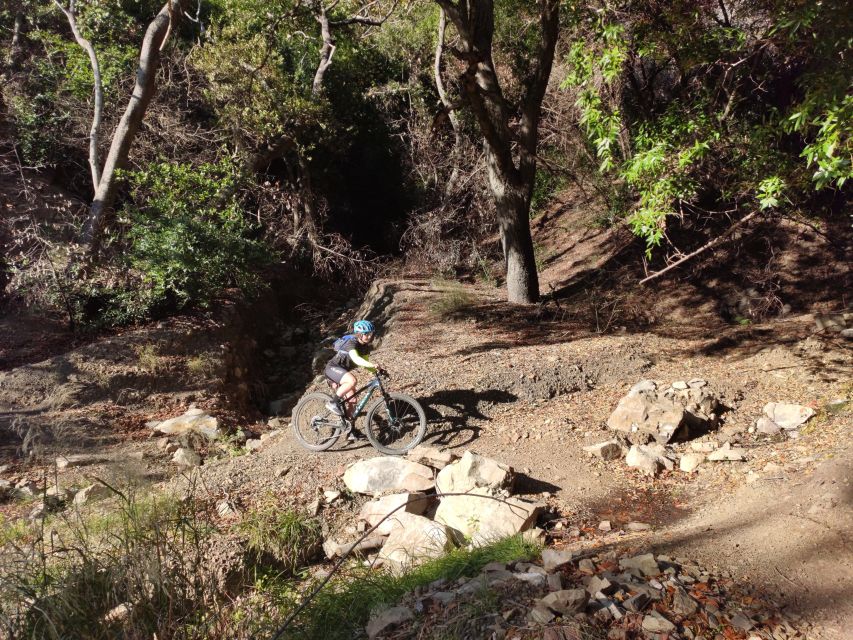 Santa Barbara: South Coast Mountain Bike Day Trip - An In-Depth Look at the Santa Barbara Mountain Bike Experience