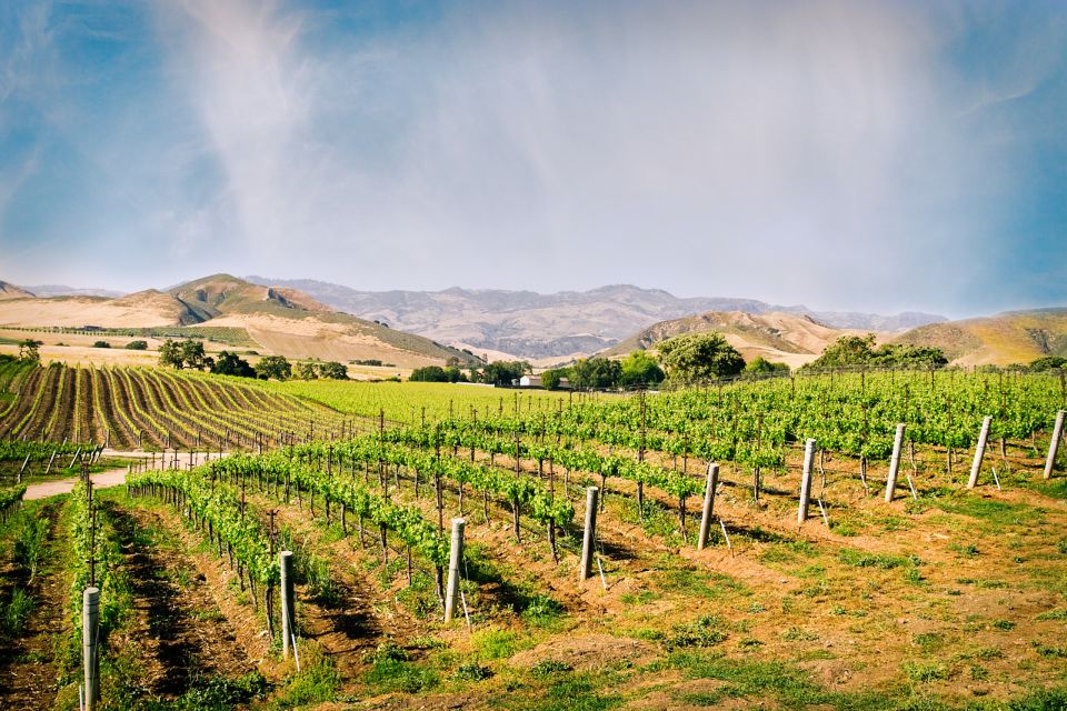 Santa Barbara: Wine Country Tour with Lunch - Transportation and Group Size
