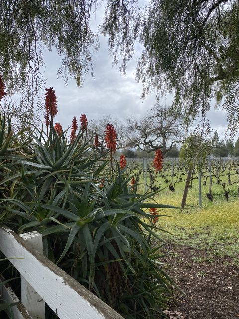Santa Barbara: Wine Country Tour with Lunch - Additional Considerations  