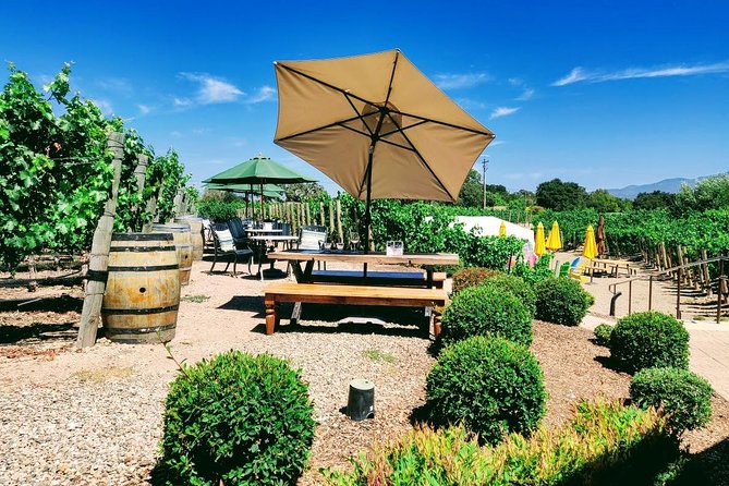 Santa Barbara Wine Tasting Day Tour from Los Angeles - Starting with the Experience: What to Expect