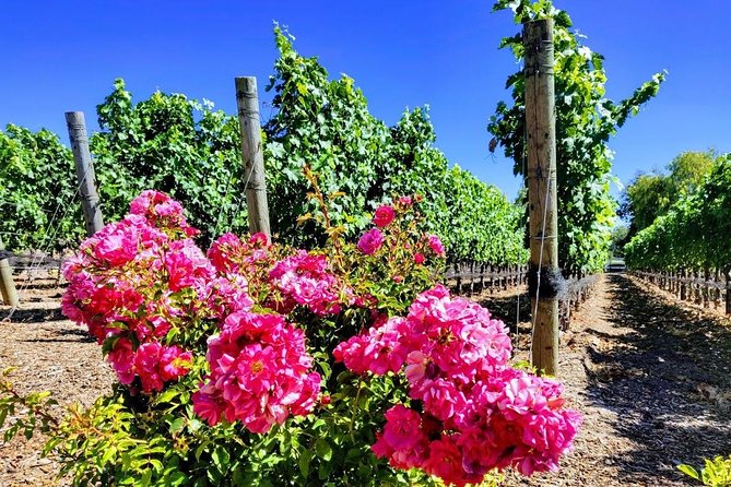 Santa Barbara Wine Tasting Day Tour from Los Angeles - FAQs