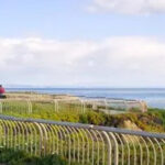 Santa Cruz: Guided eBike Tour - What to Expect on the Santa Cruz Guided eBike Tour