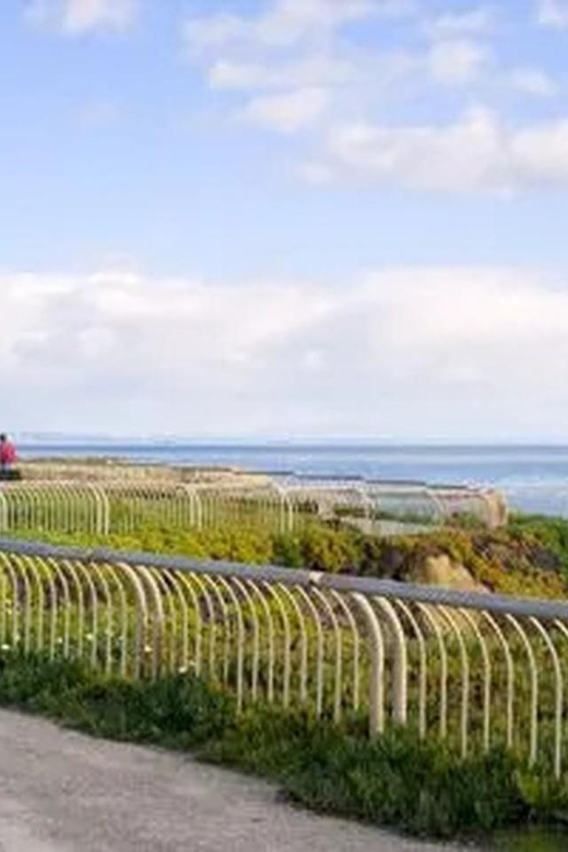 Santa Cruz: Guided eBike Tour - What to Expect on the Santa Cruz Guided eBike Tour