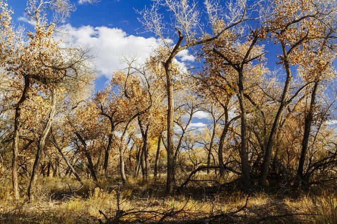 Santa Fe E-Bike Adventure Half-Day Tour - Practical Details: What to Expect