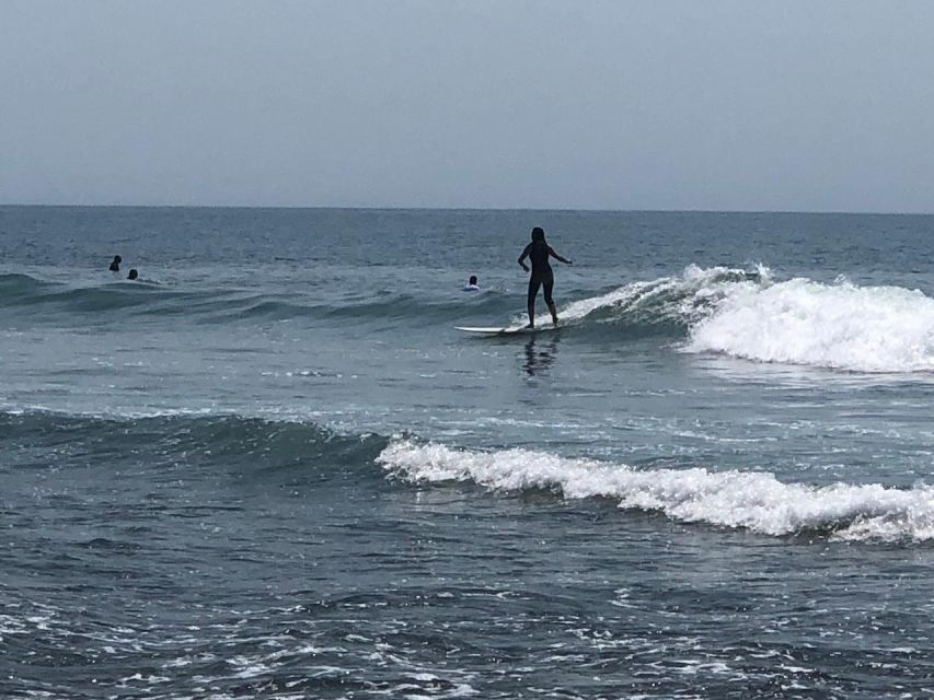 Santa Monica: Surfing Day Trip with Lunch - Key Points