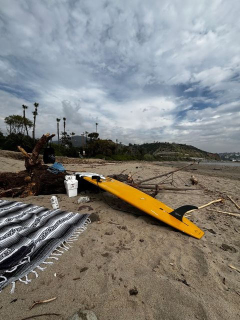 Santa Monica: Surfing Day Trip with Lunch - Who Should Consider This Experience?