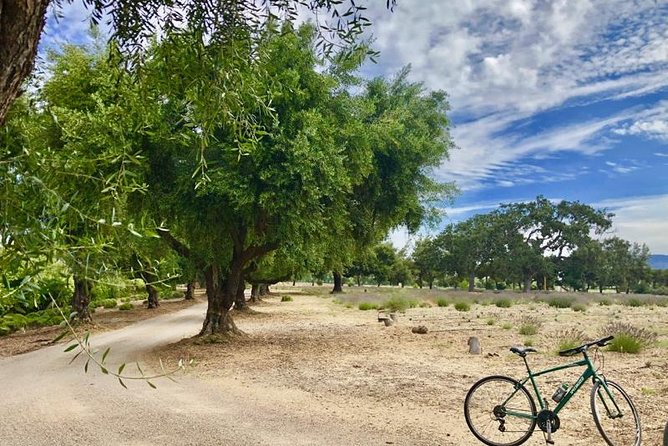 Santa Ynez Valley Biking and Wine Tasting Tour - FAQs