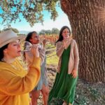 Santa Ynez Wine Tour (All-Inclusive) - Why This Tour Works Well