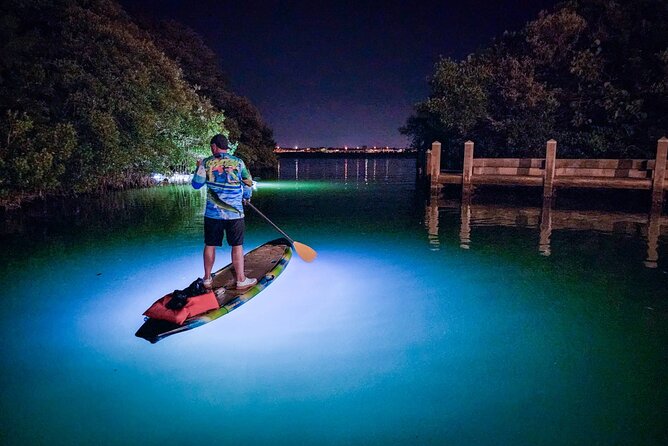 Sarasota - Clear Kayak LED Night Glass Bottom Tour - What to Expect from the Sarasota LED Night Glass Bottom Kayak Tour