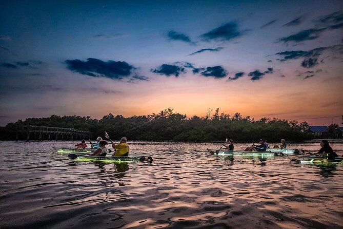 Sarasota - Clear Kayak LED Night Glass Bottom Tour - Why Choose This Tour?