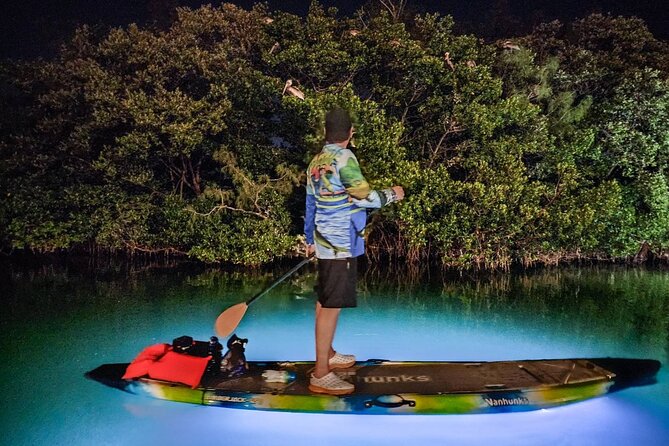 Sarasota - Clear Kayak LED Night Glass Bottom Tour - FAQs
