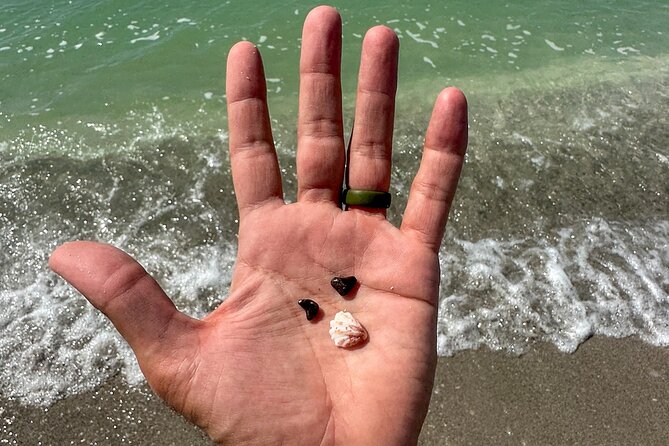 Sarasota Clear Kayak Tour - Exploring the Itinerary in Detail