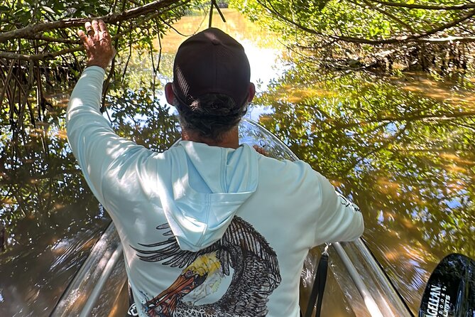 Sarasota Clear Kayak Tour - Who Is This Tour Best For?