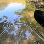 Sarasota Clear Kayak Tour - Final Thoughts