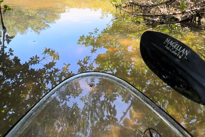 Sarasota Clear Kayak Tour - Final Thoughts