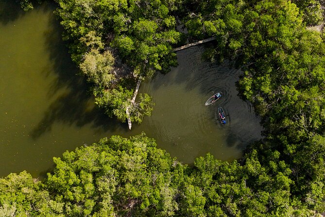 Sarasota Clear Kayak Tour - FAQs