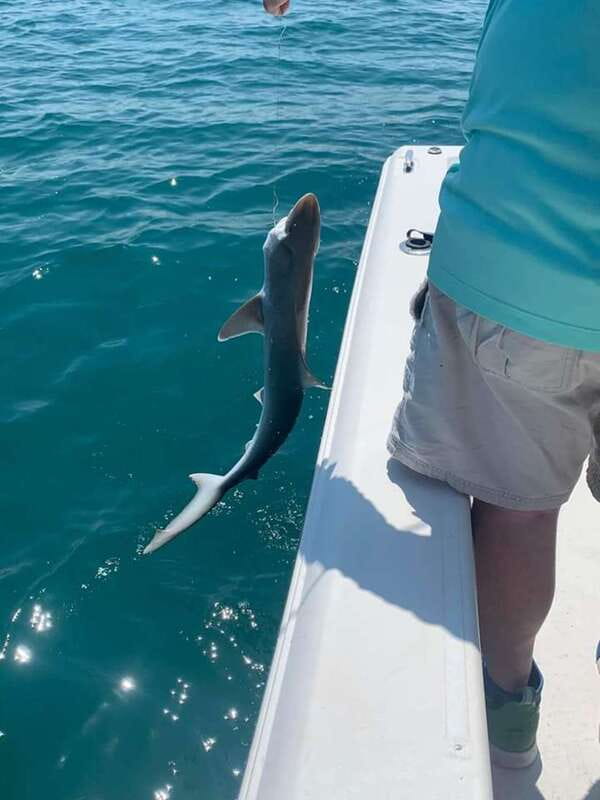 Sarasota Florida: Skyway Fishing Tours - Key Points
