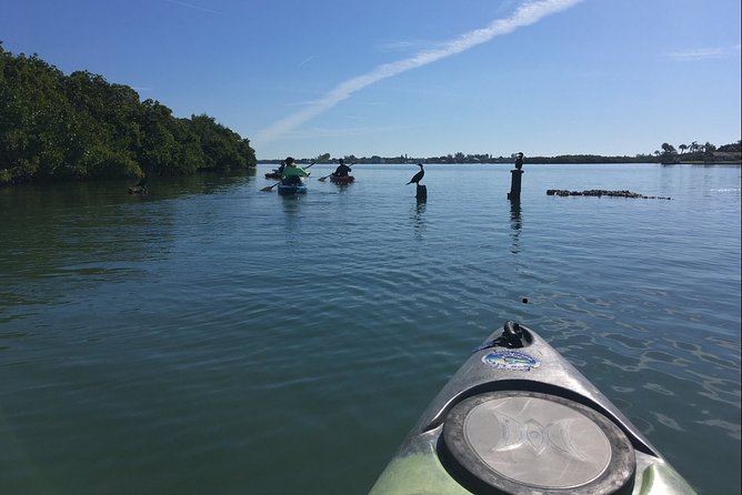 Sarasota Guided Mangrove Tunnel Kayak Tour - FAQs