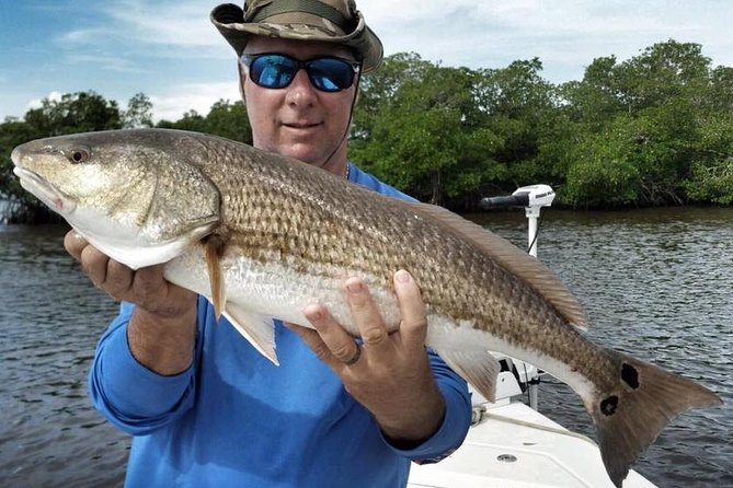 Sarasota Inshore Fishing Charters - Key Points