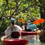 Sarasota Kayak and Food Tour - Analyzing the Value and Experience