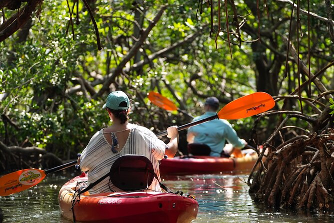 Sarasota Kayak and Food Tour - Analyzing the Value and Experience