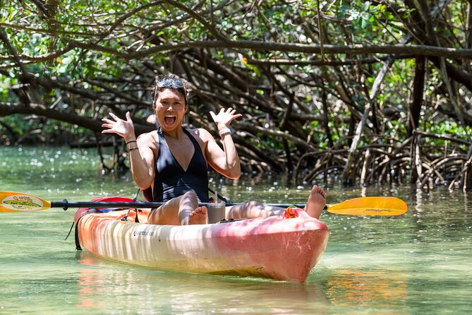 Sarasota Mangrove Tunnel Guided Kayak Adventure - An Overview of the Sarasota Mangrove Tunnel Kayak Tour