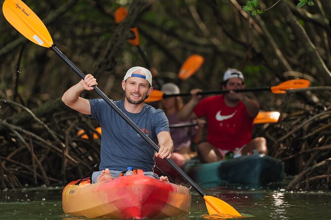 Sarasota Mangrove Tunnel Guided Kayak Adventure - The Itinerary in Detail