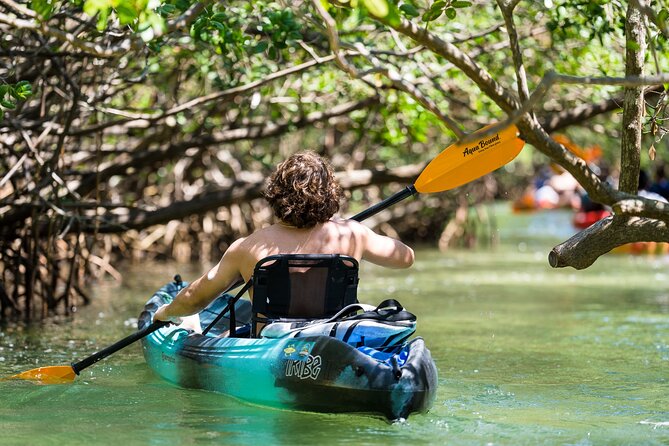 Sarasota Mangrove Tunnel Guided Kayak Adventure - Final Thoughts: Is This Tour Right for You?