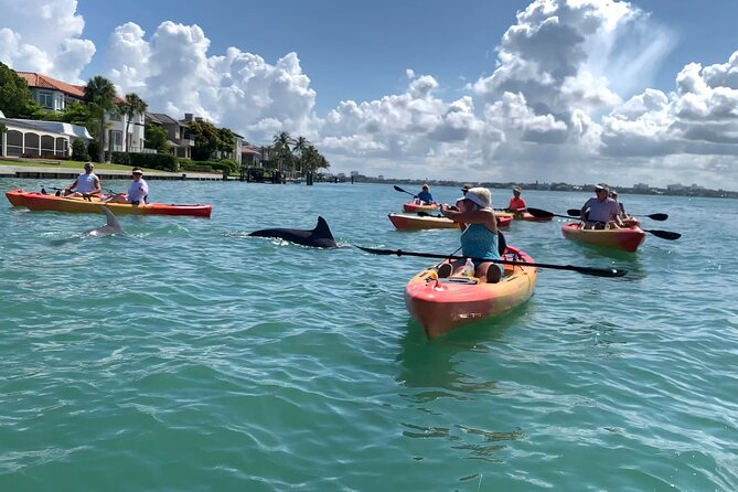 Sarasota Mangrove Tunnel Guided Kayak Adventure - FAQ