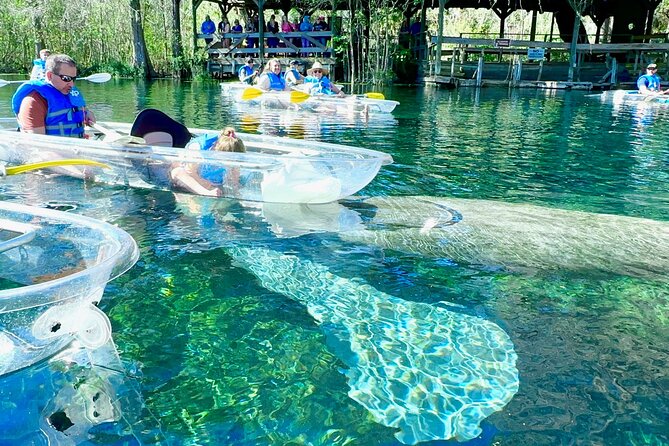 Sassys Silver Springs Kayak and Paddleboard Tours - The Experience in Detail