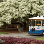 Savannah: 1.5-Hour Guided Trolley Tour with Shuttle Service - Analyzing the Value: Is It Worth It?