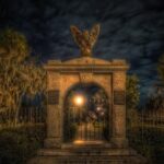 Savannah Beyond Good & Evil Tour - The Limitations