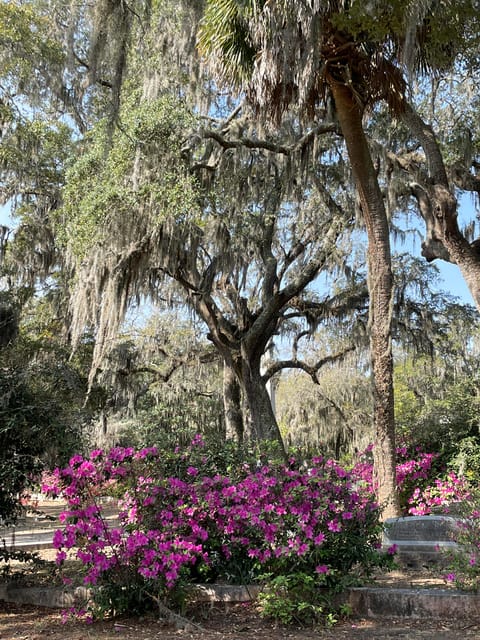 Savannah: Bonaventure Cemetery Golf Cart Guided Tour - Who Should Consider This Tour?