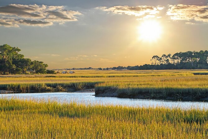 Savannah Coastal Dolphin Eco Tour - Authentic Insights from Reviewers