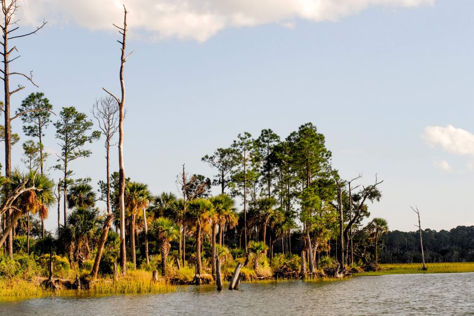 Savannah: Dolphin Spotting and Wildlife Eco Cruise - FAQs about the Savannah Dolphin and Wildlife Eco Cruise